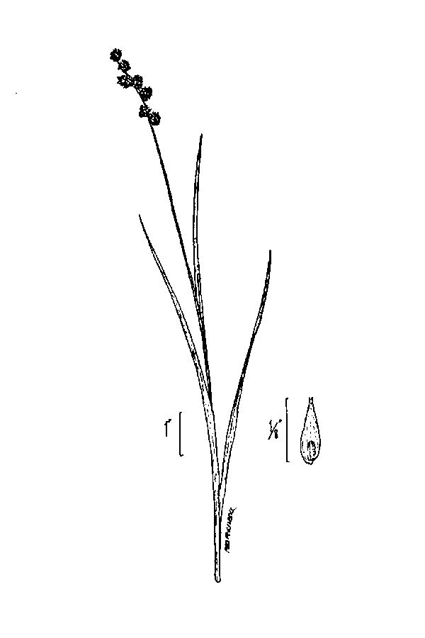 NWPL - CAPR9