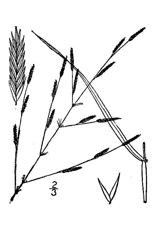 Plant Erpe